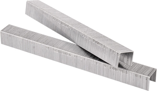 STAPLES 4MM 21 GAUGE 10000 PER BOX - Fallons